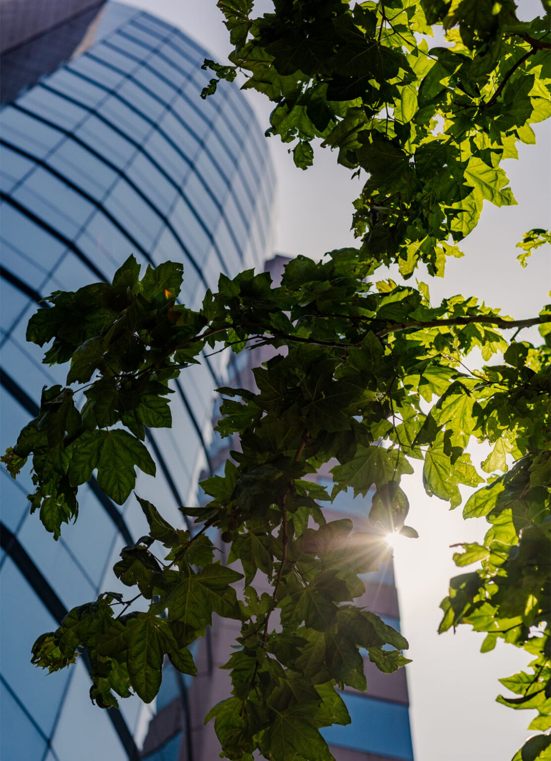 Overview Centennial Place
